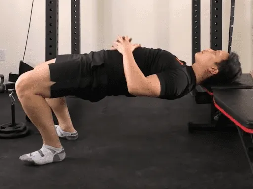 Neck Strength Training in Rugby Players – Peak Sport And Spine Centre
