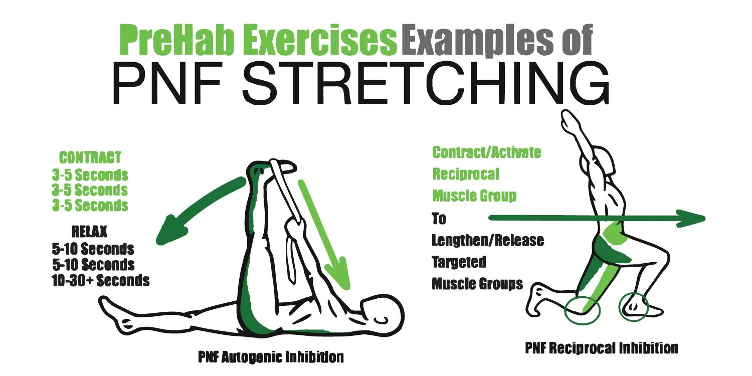 WHAT IS PNF AND HOW CAN IT BENEFIT YOU? – Peak Sport And Spine Centre