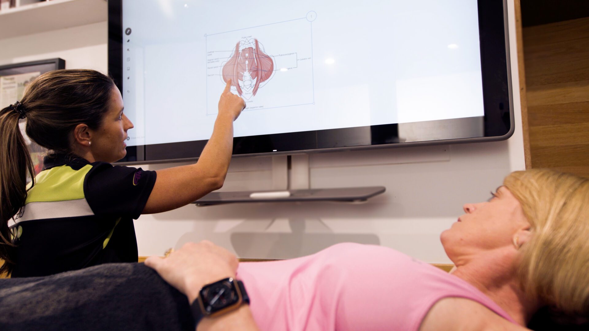 USING PESSARIES TO TREAT PELVIC ORGAN PROLAPSE – Peak Sport And Spine ...